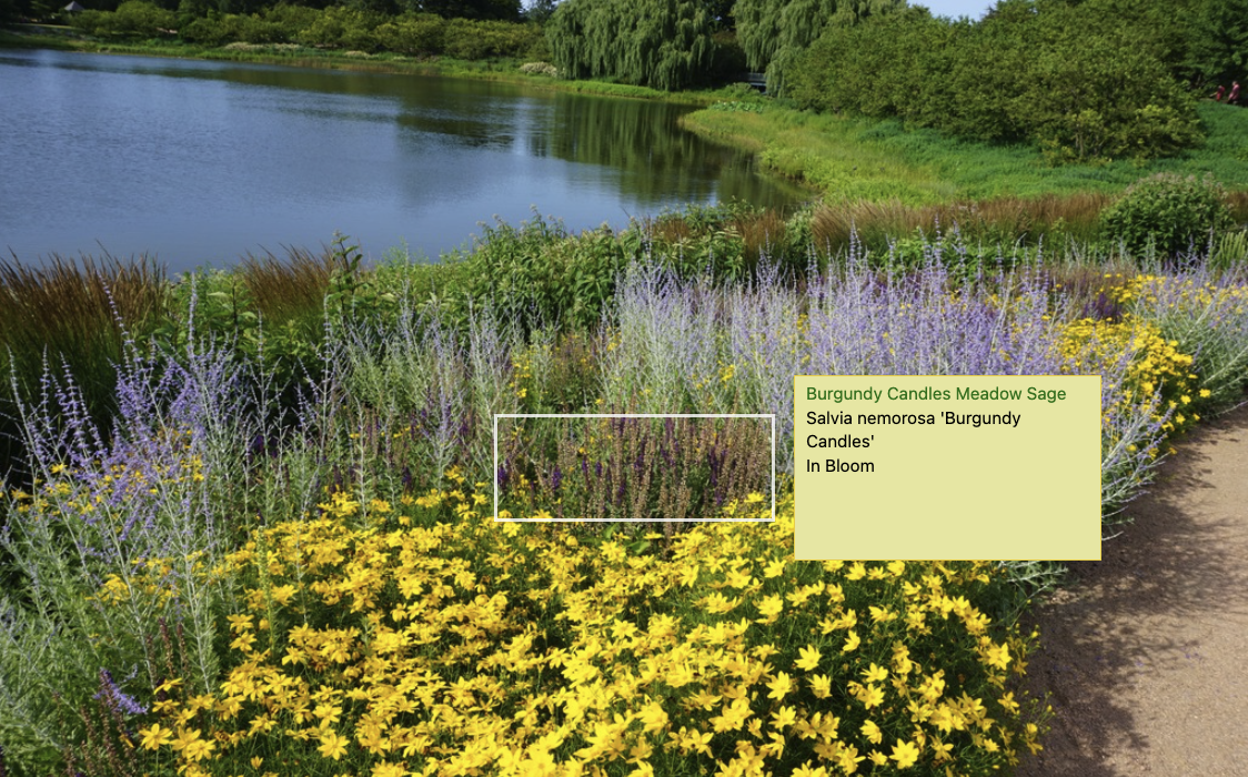 Interactive Landscapes | North Shore Plant Club